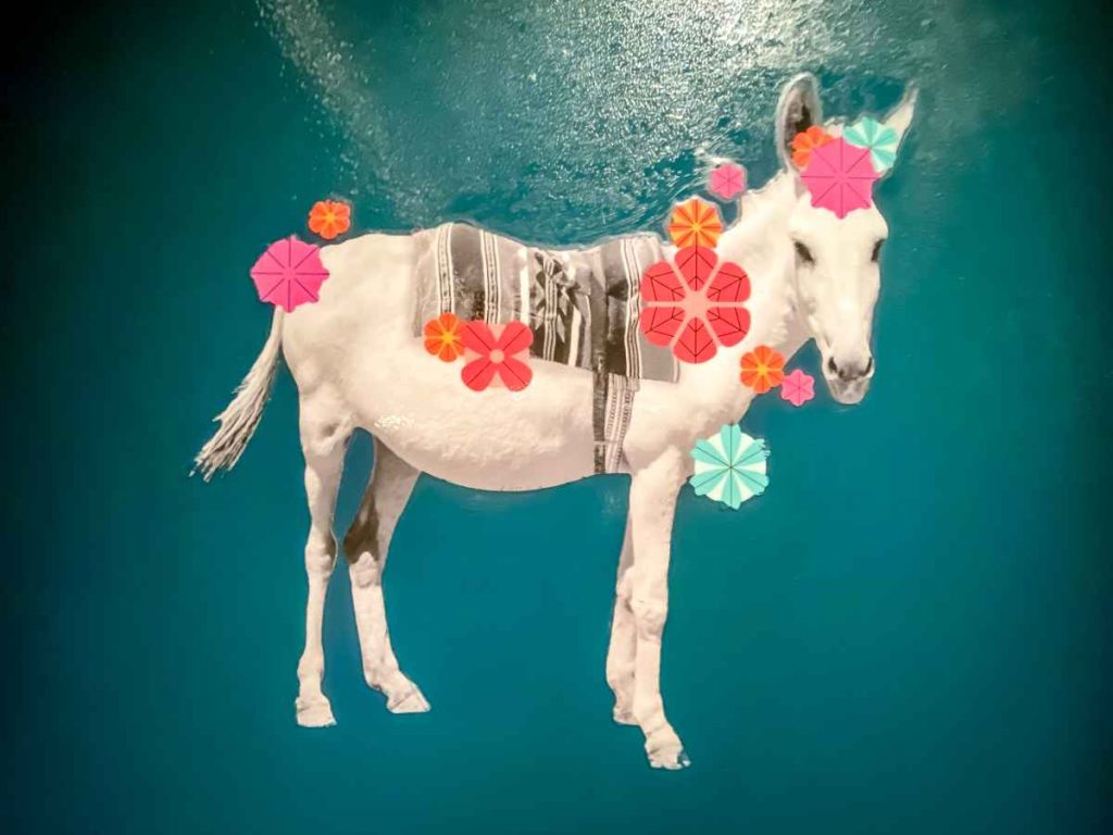 Ghost Donkey: How To Find It, Dress Code, Menu (Hidden Vegas ...